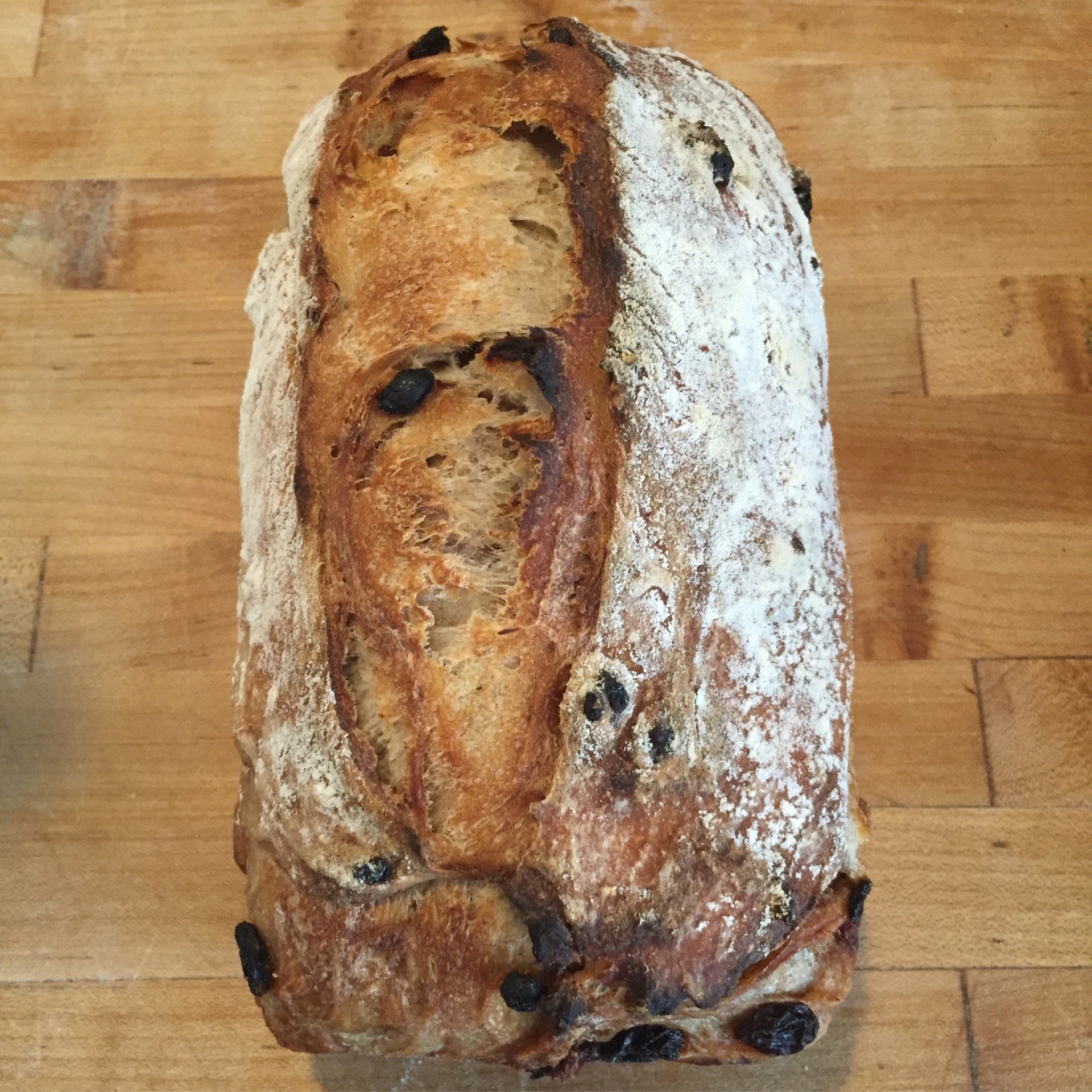 Raisin Granola Loaf | Fox and Lion Bread
