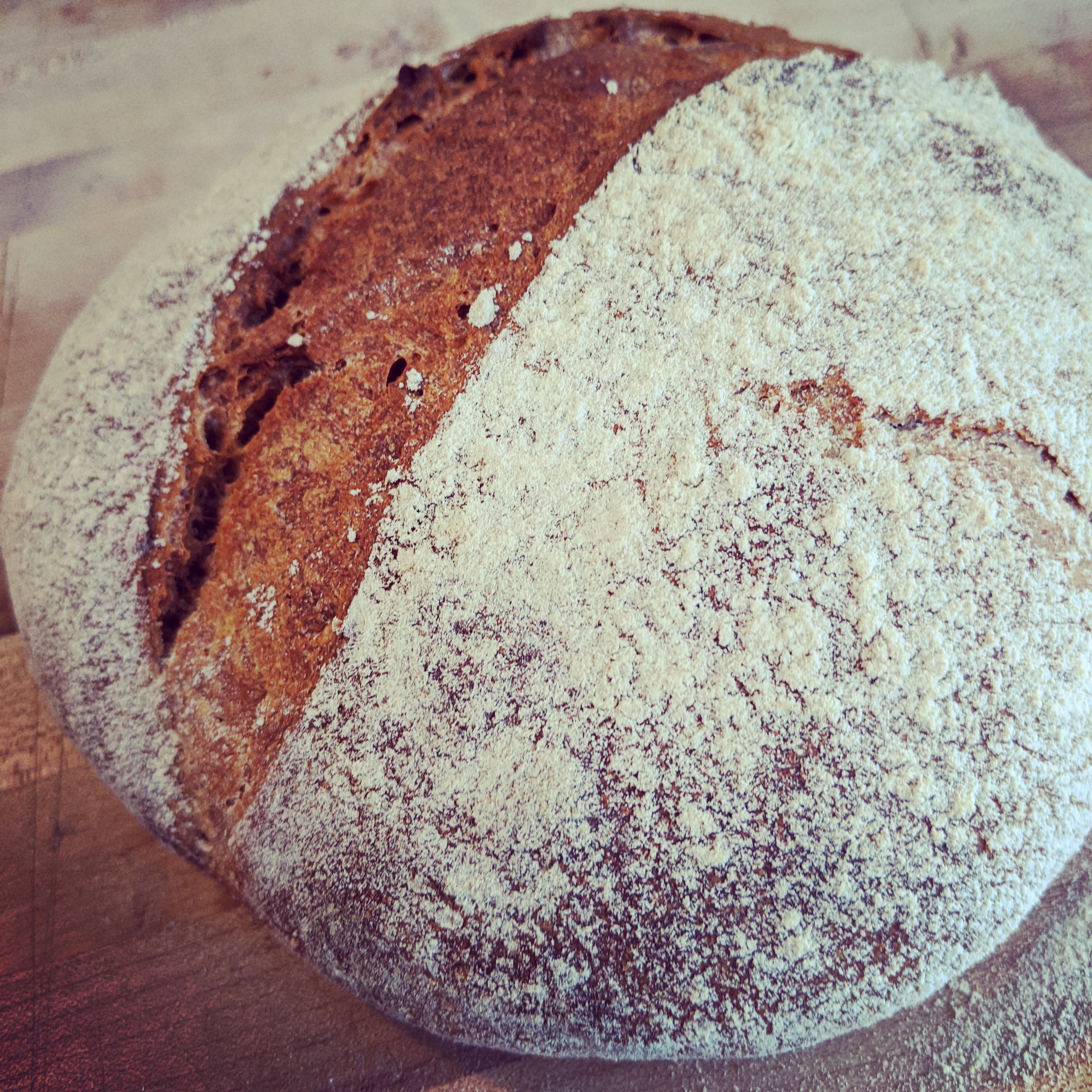 Whole Wheat Bread | Fox and Lion Bread